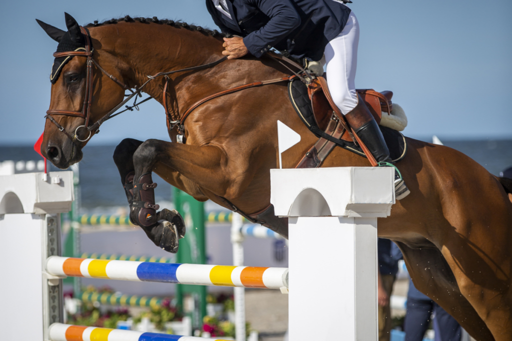 Sports industry recruitment - Winteringham